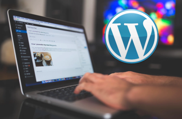 ¿Qué es WordPress y para qué se utiliza? – Soluciones Inába