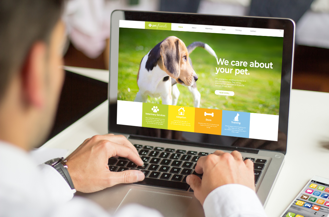 Creación de Páginas Web: Cómo Crear una Página Web Profesional y Gratis ...